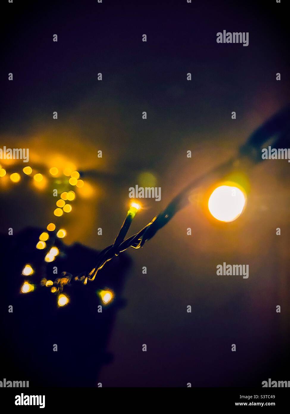 This picture was taken and photoshopped, to give it tang light effect ...