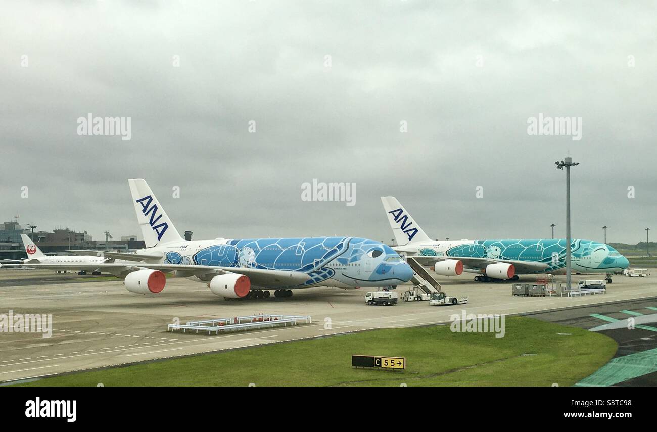 Two ANA Airbus 380’s with turtle paint design in long term parking at ...