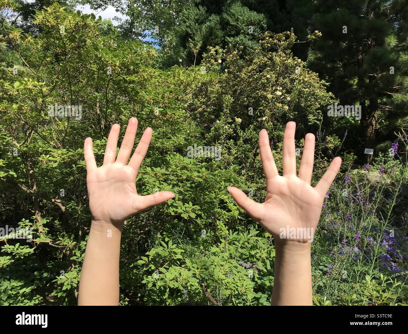 Joy nature hi-res stock photography and images - Alamy