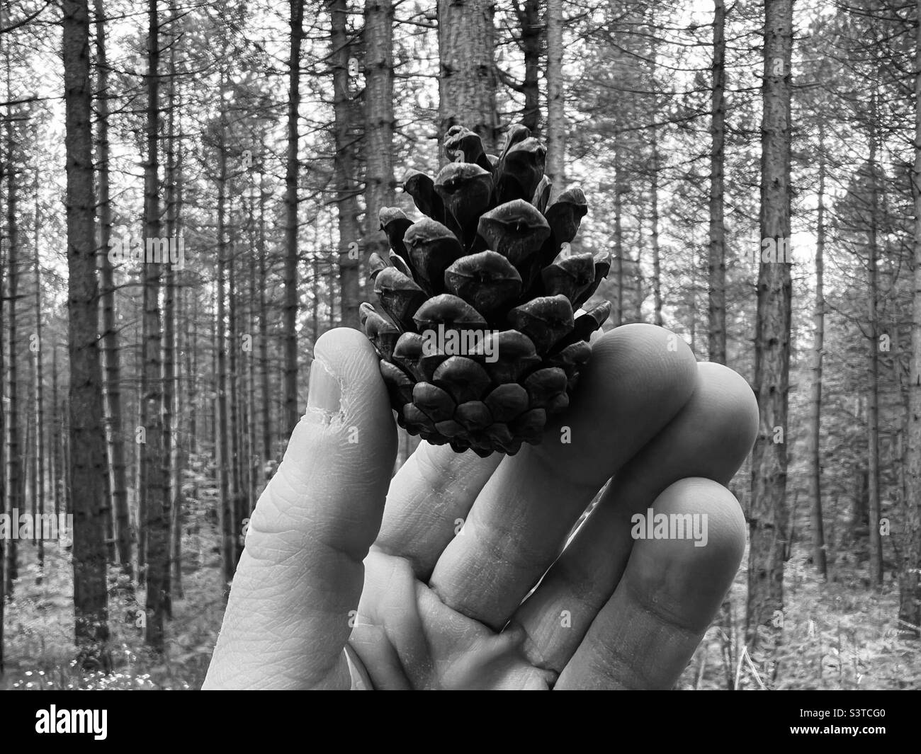 Hand holding cone Black and White Stock Photos & Images - Alamy
