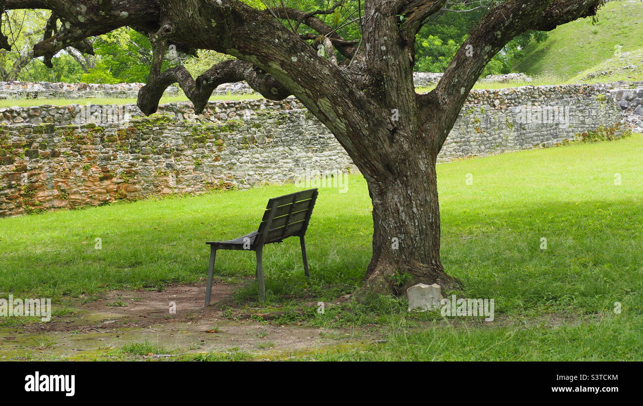 Rock under a tree hi-res stock photography and images - Alamy