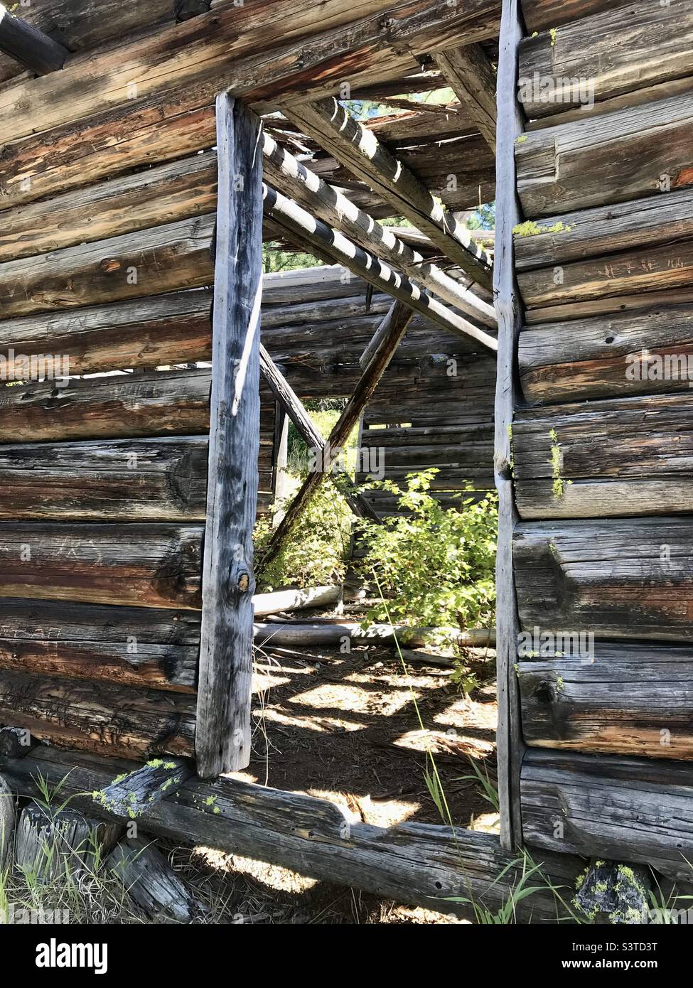 Log cabin, run down cabin in the forest Stock Photo - Alamy