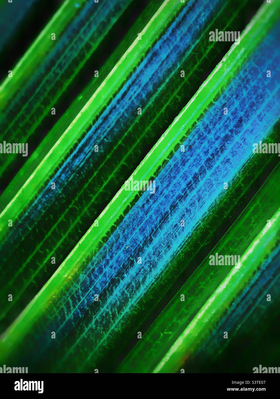 Coconut texture hi-res stock photography and images - Alamy