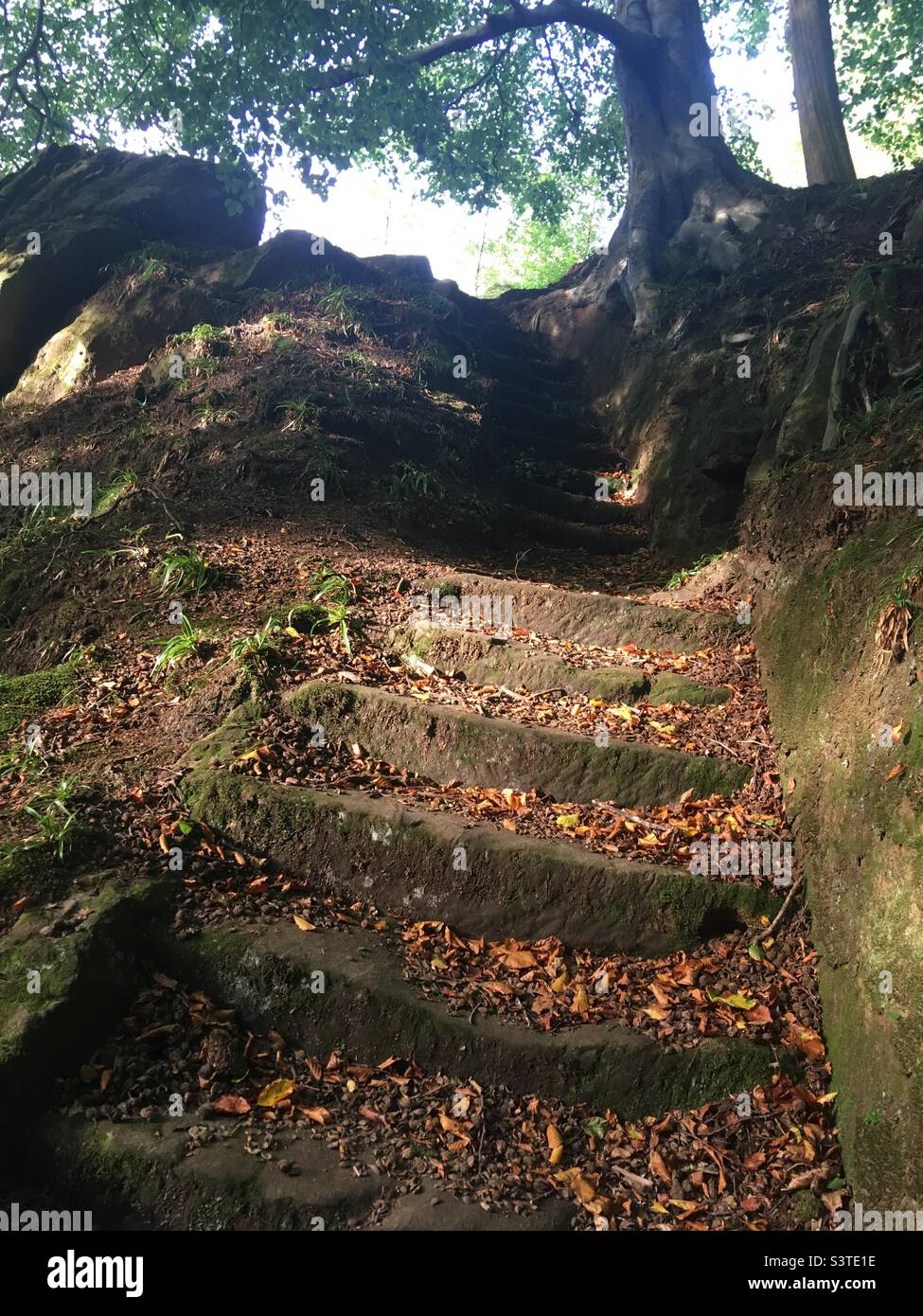 Steps of light Stock Photo - Alamy