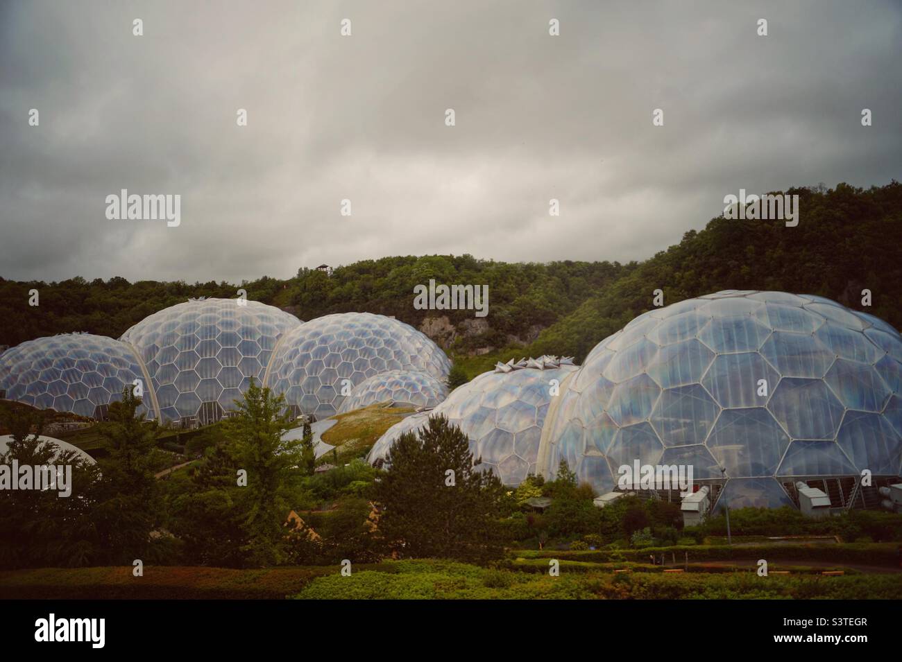 Eden project plants hi-res stock photography and images - Alamy