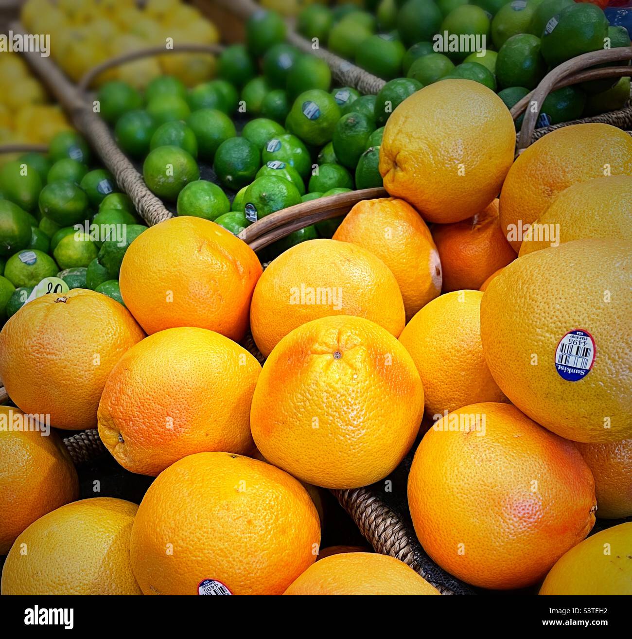 Close-up of fresh oranges and limes in the produce section of a grocery ...