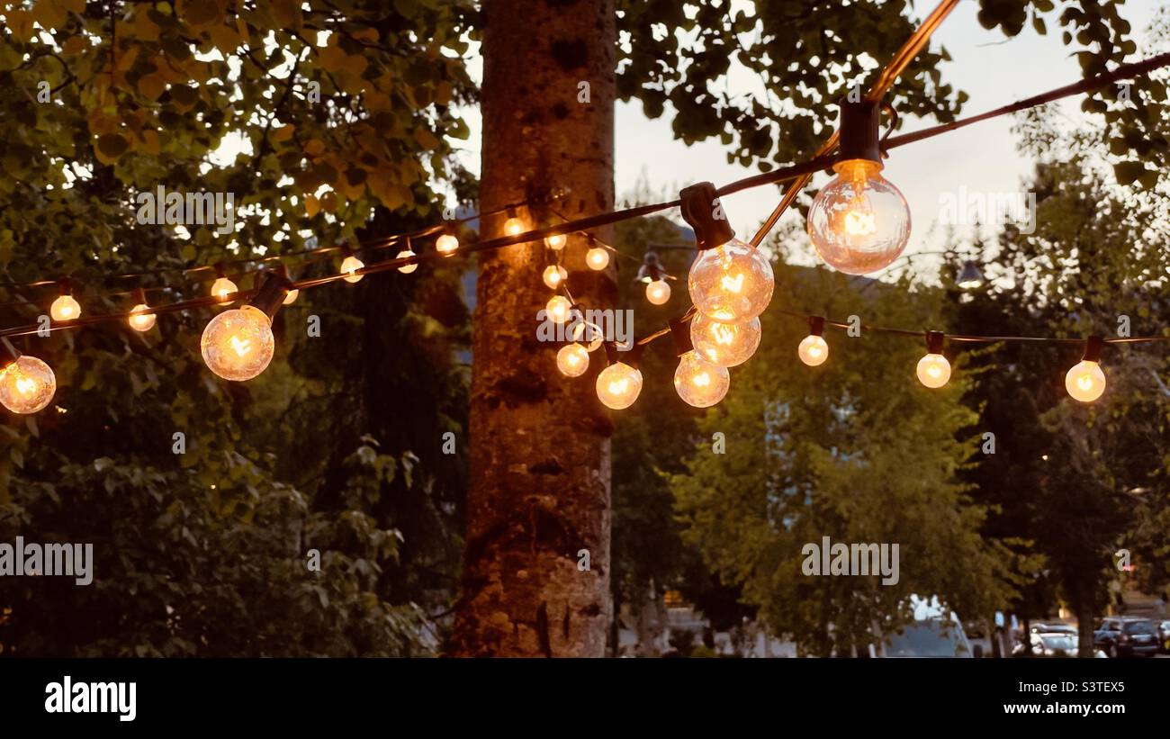 Dangling tree hi-res stock photography and images - Alamy