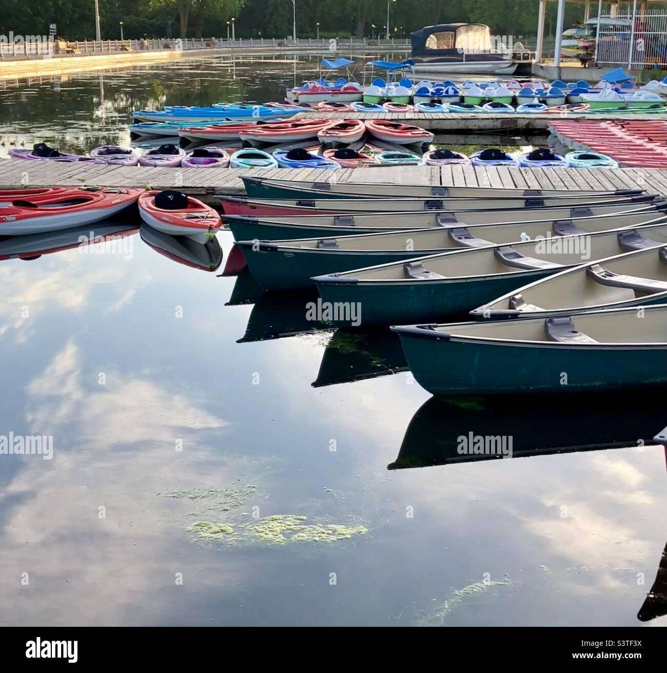 Colourful canoes, kayaks and pedal boats all lined up for duty Stock ...
