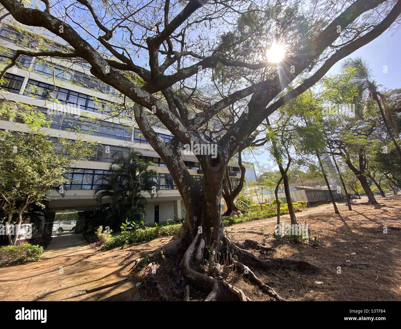 Bulging building hi-res stock photography and images - Alamy