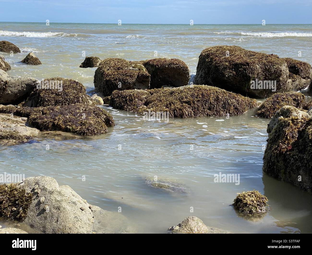 Crab in rockpool hi-res stock photography and images - Alamy