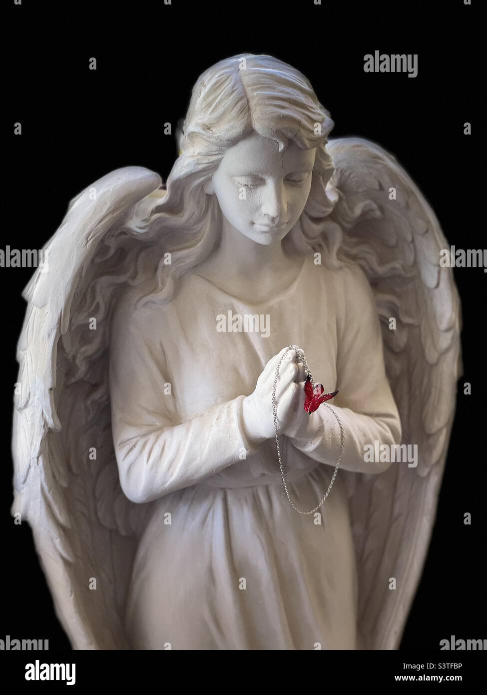 Cardinal symbol hi-res stock photography and images - Alamy