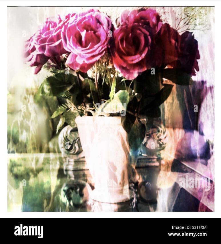 The smell of roses hi-res stock photography and images - Alamy