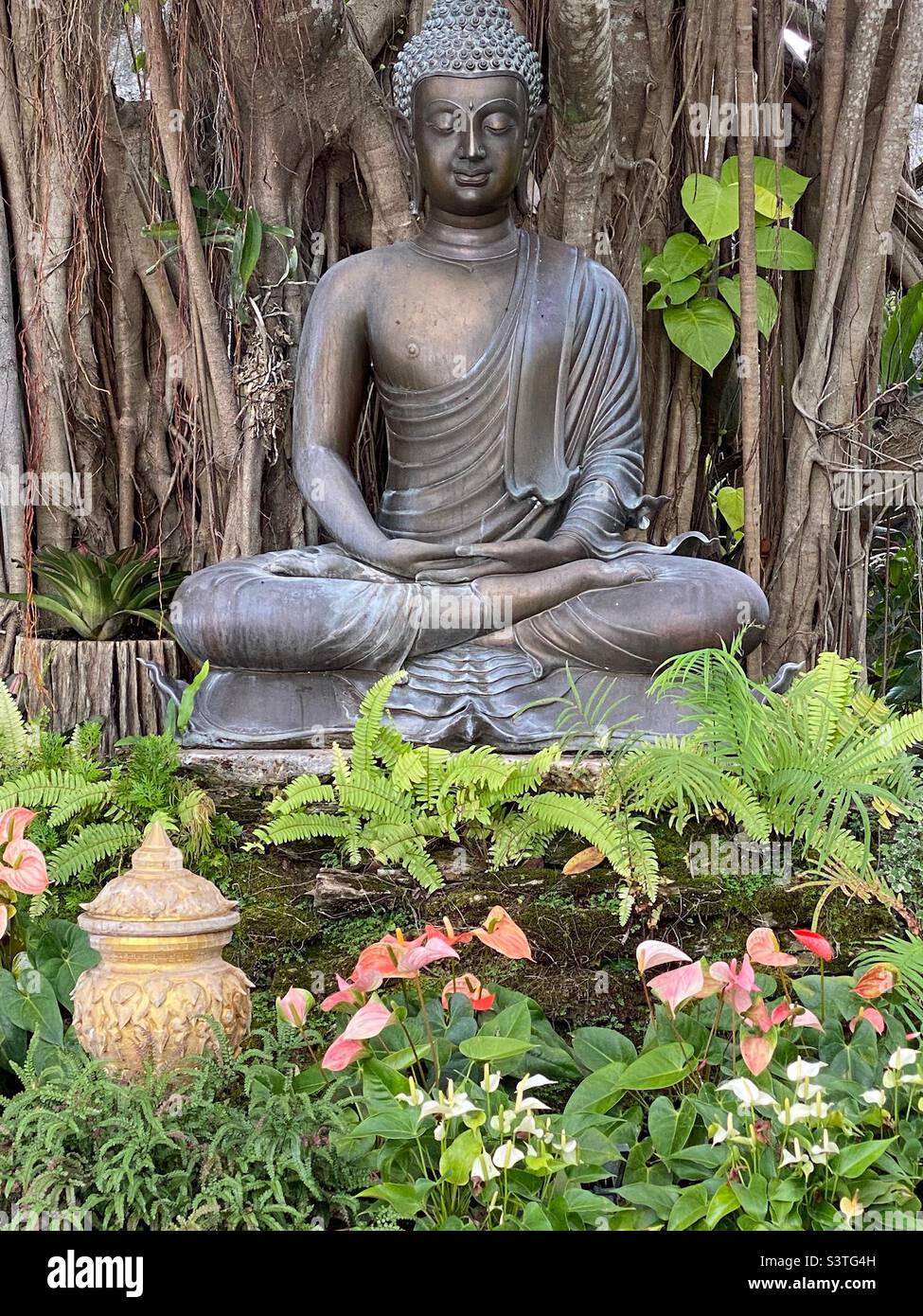 Buddha enlightenment tree art hi-res stock photography and images - Alamy