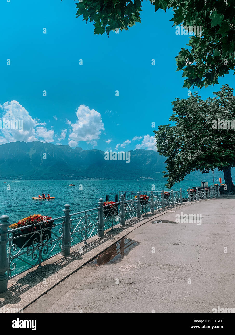 Vevey switzerland hi-res stock photography and images - Alamy