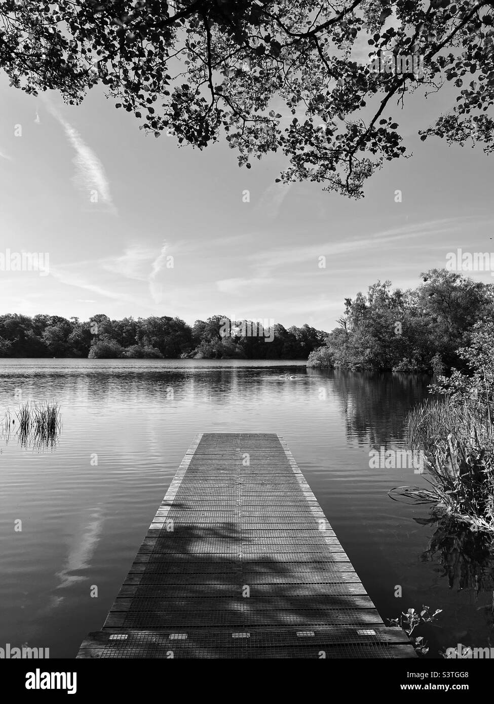 Jetty over a lake Stock Photo - Alamy
