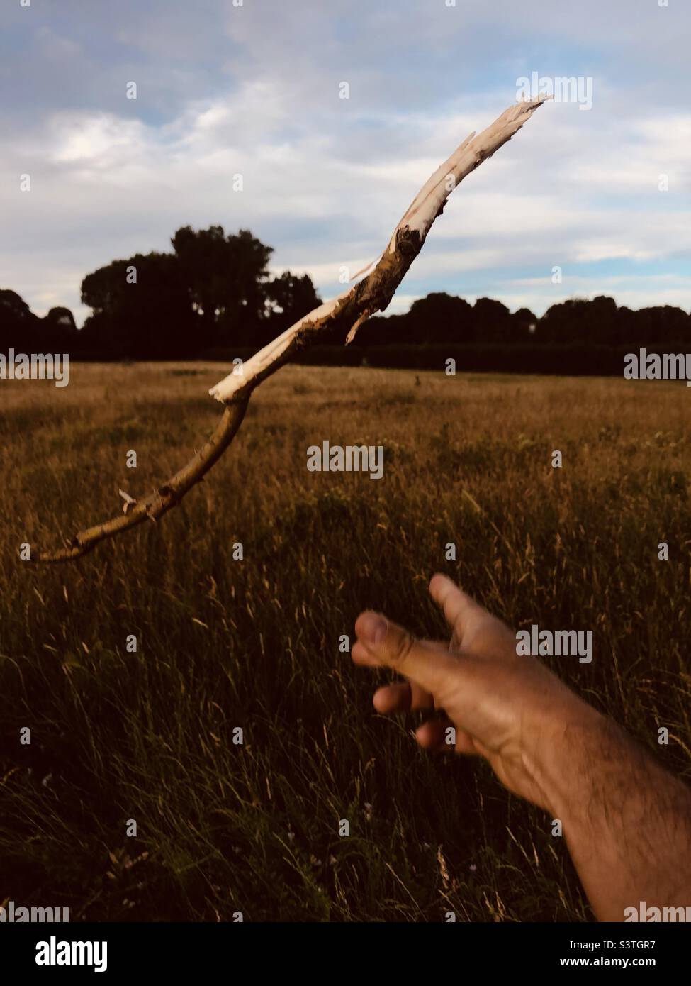Throwing a stick up in the air Stock Photo - Alamy