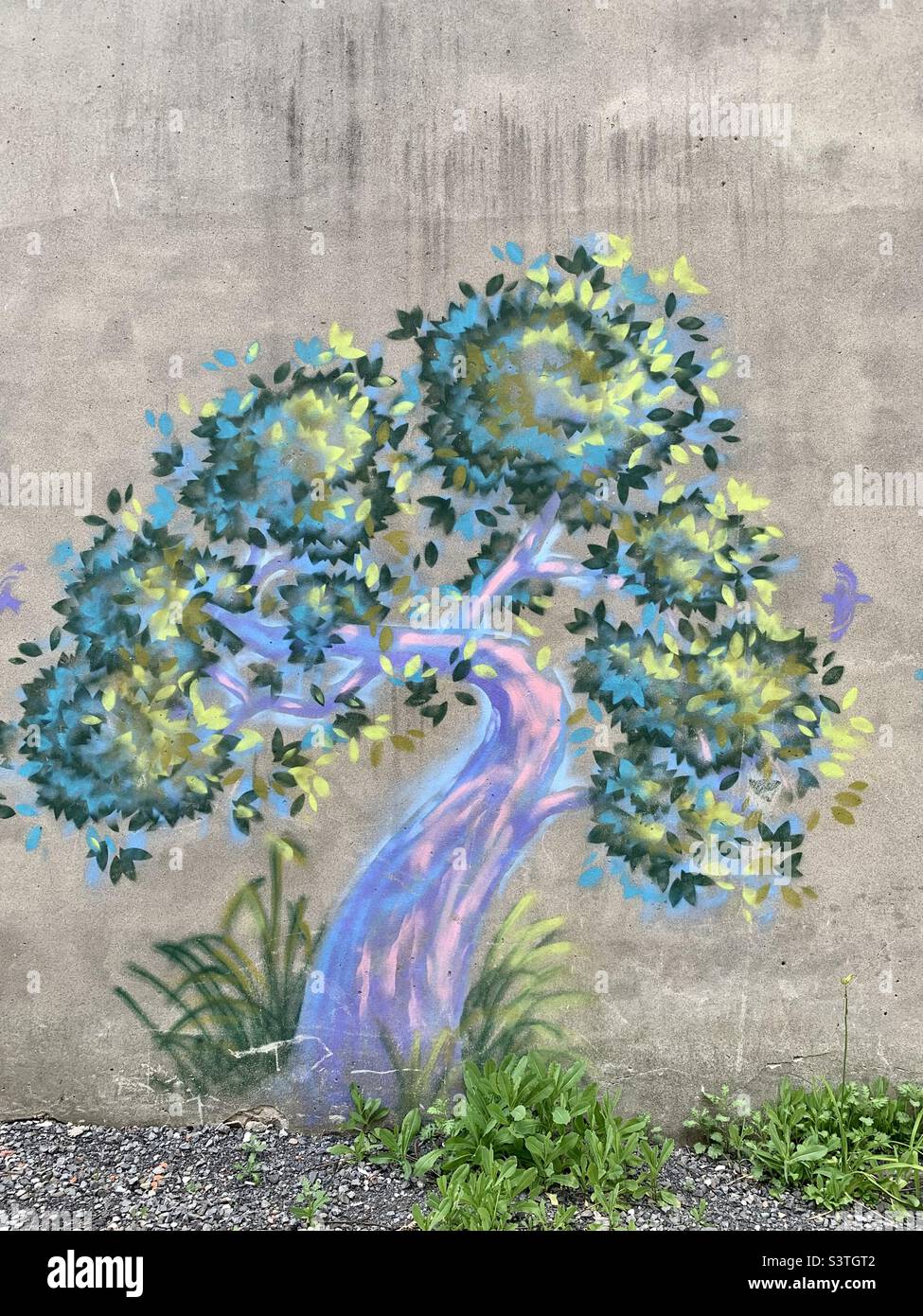 Urban and greenery hi-res stock photography and images - Alamy Urban and greenery hi-res stock photography and images - Alamy