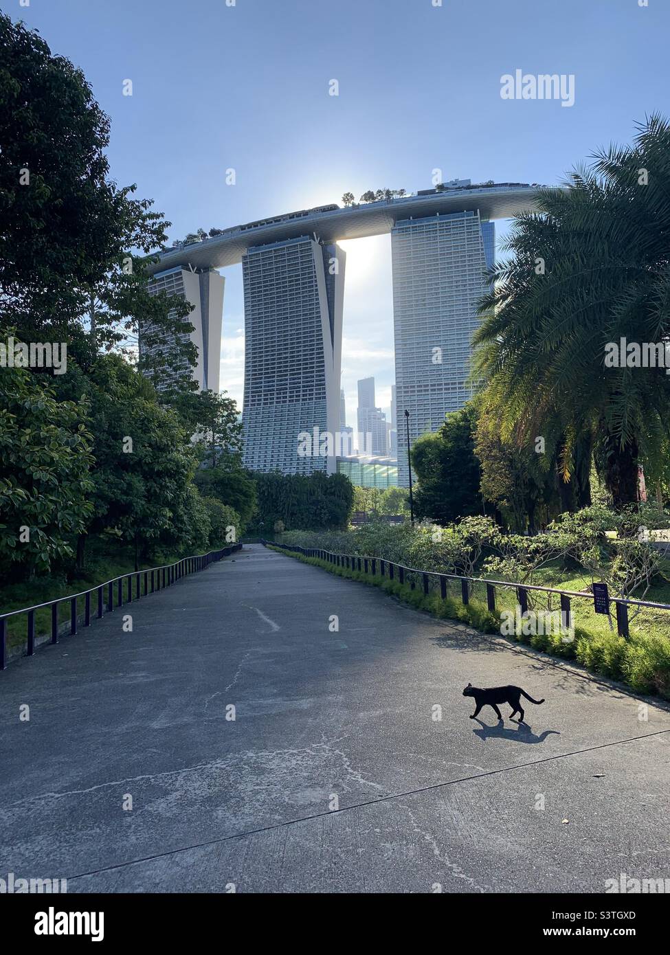 Marina bay sands in nature hi-res stock photography and images - Alamy