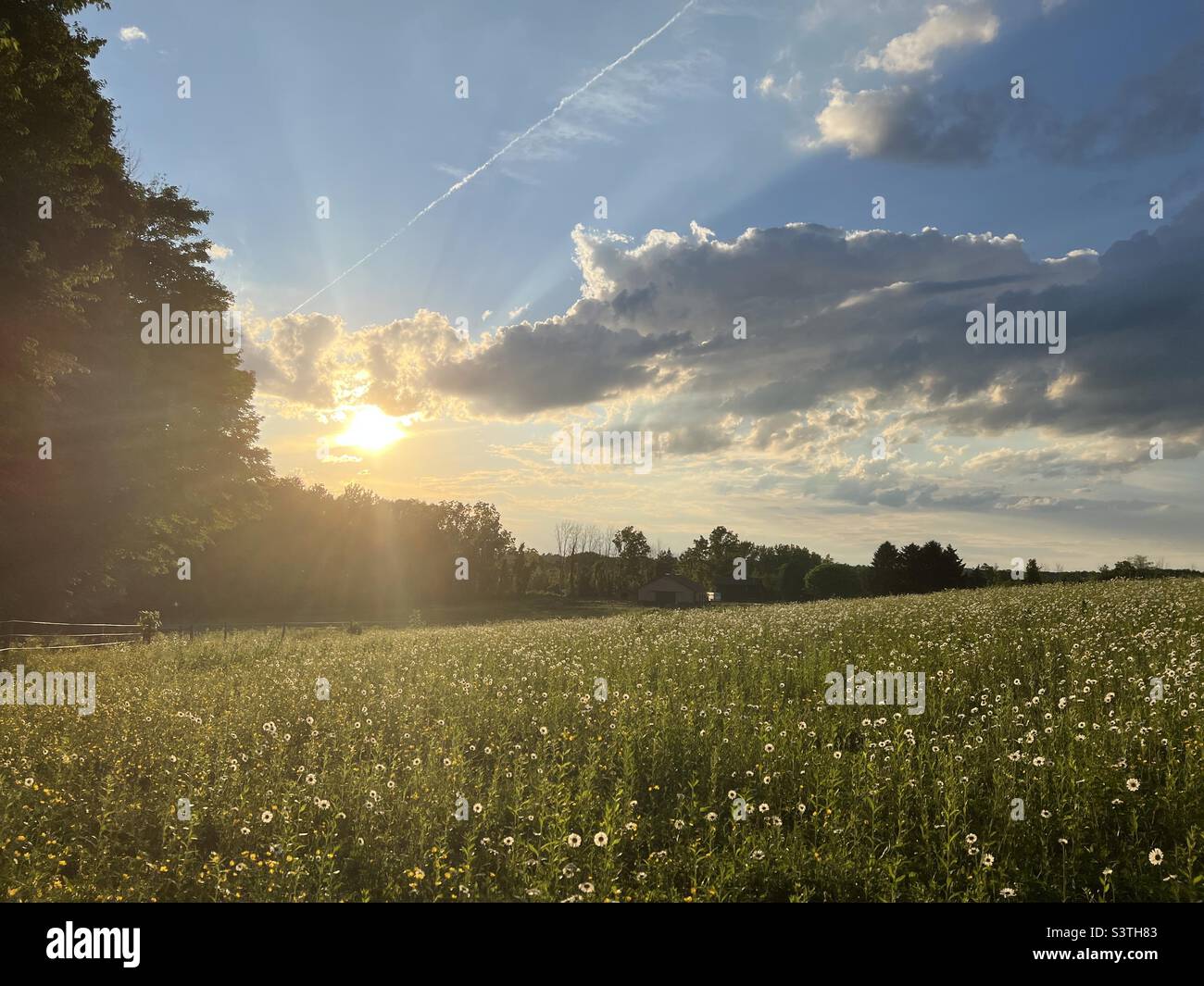 Beautiful pasture hi-res stock photography and images - Alamy