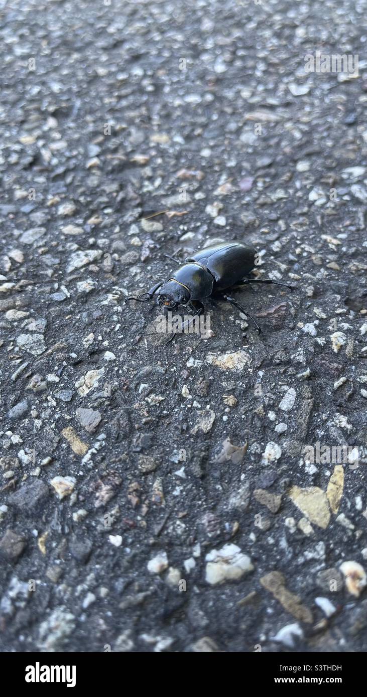 Big pavement hi-res stock photography and images - Alamy