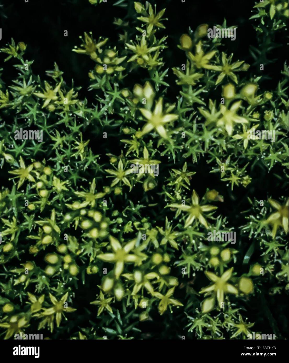 Disappearing image hi-res stock photography and images - Alamy