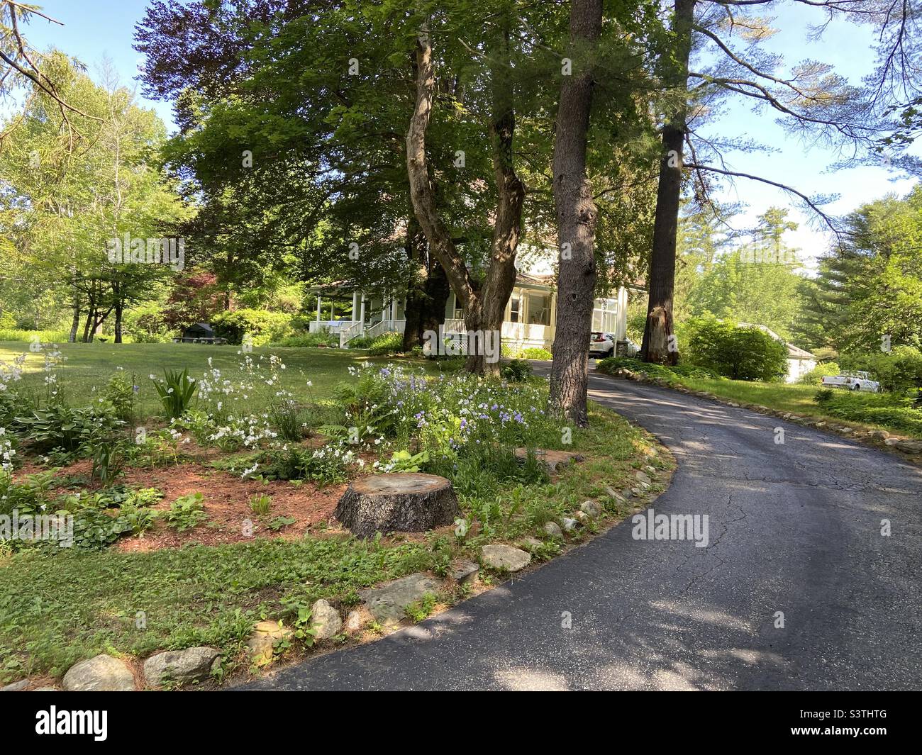Wildflowers lining driveway hi-res stock photography and images - Alamy