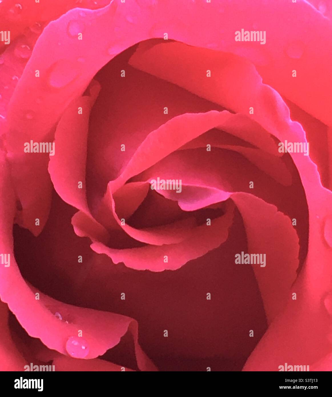 Love the rich hi-res stock photography and images - Alamy