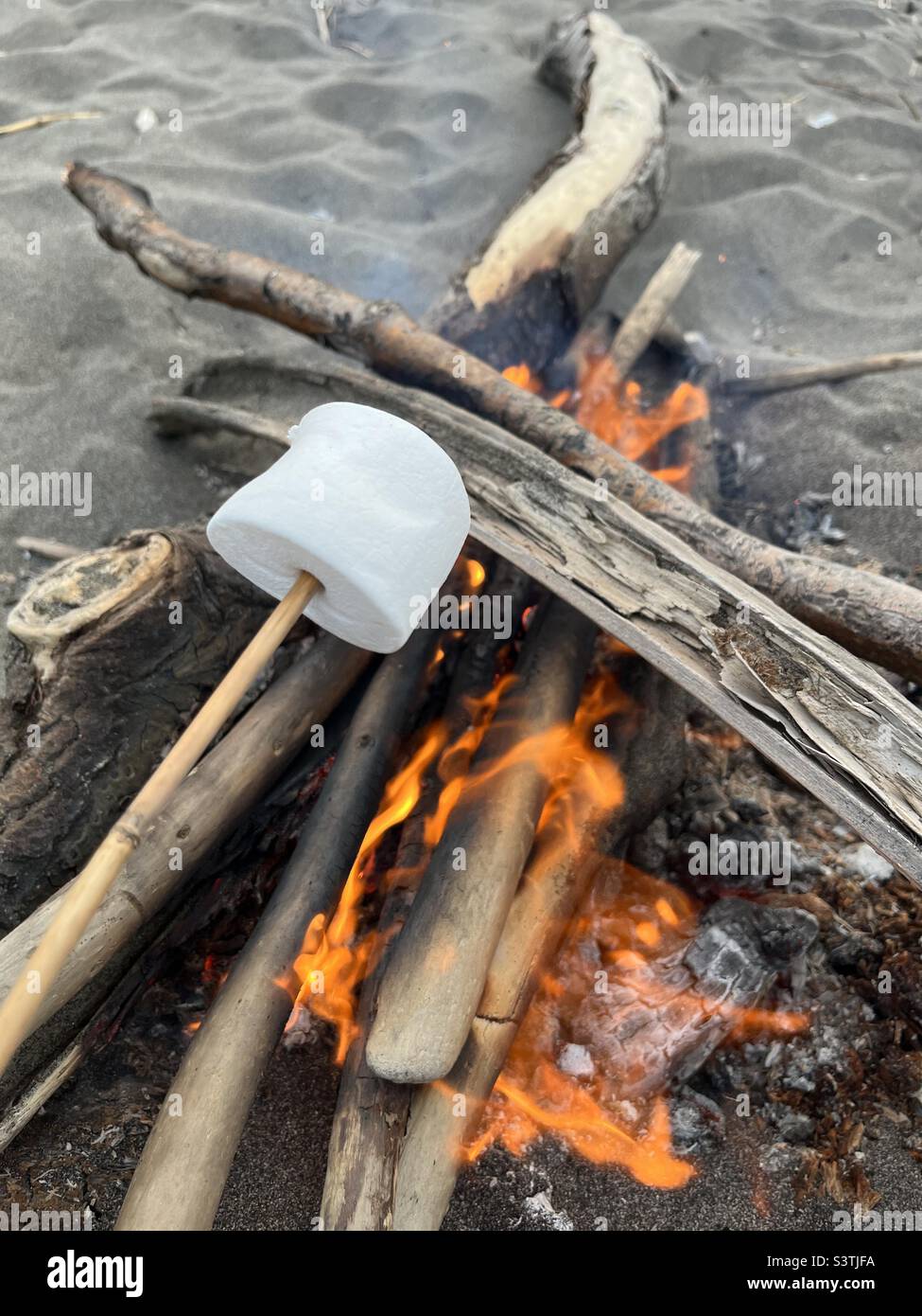 Roasting with sand hi-res stock photography and images - Alamy