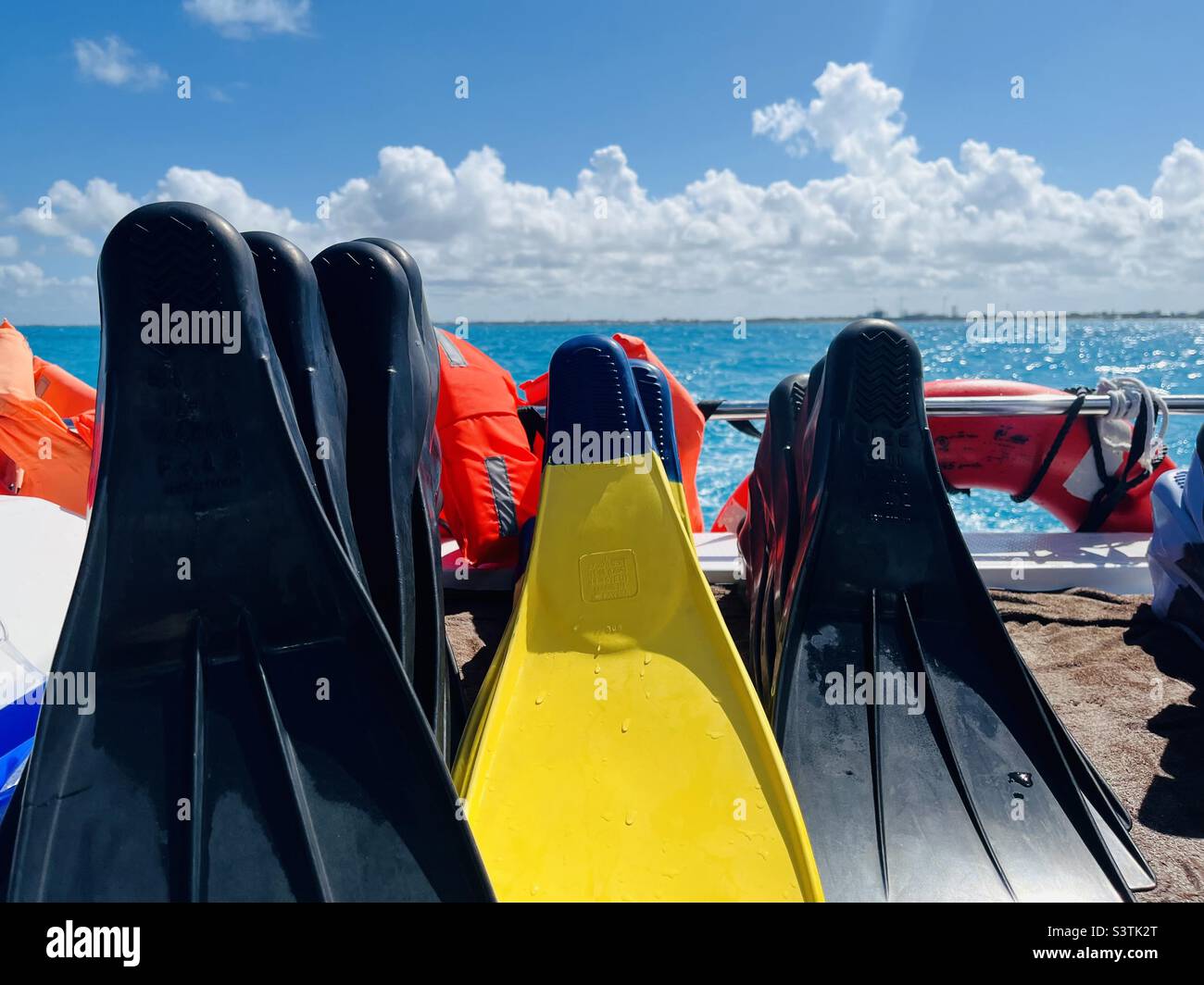 Flippers on the boat in Mexico Stock Photo - Alamy