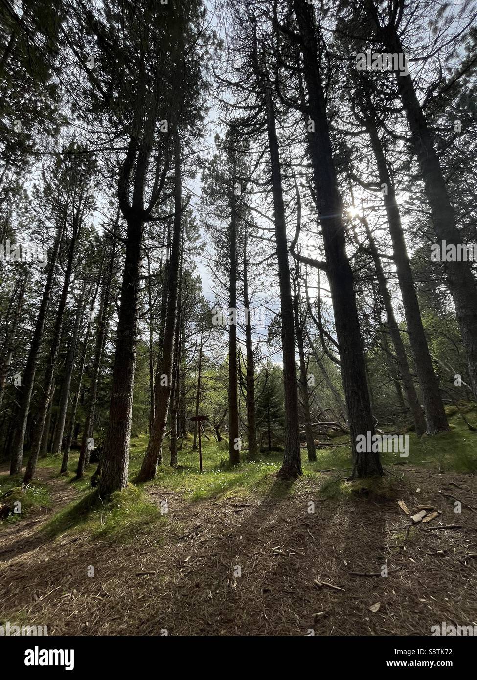 Norwegian wood hi-res stock photography and images - Alamy