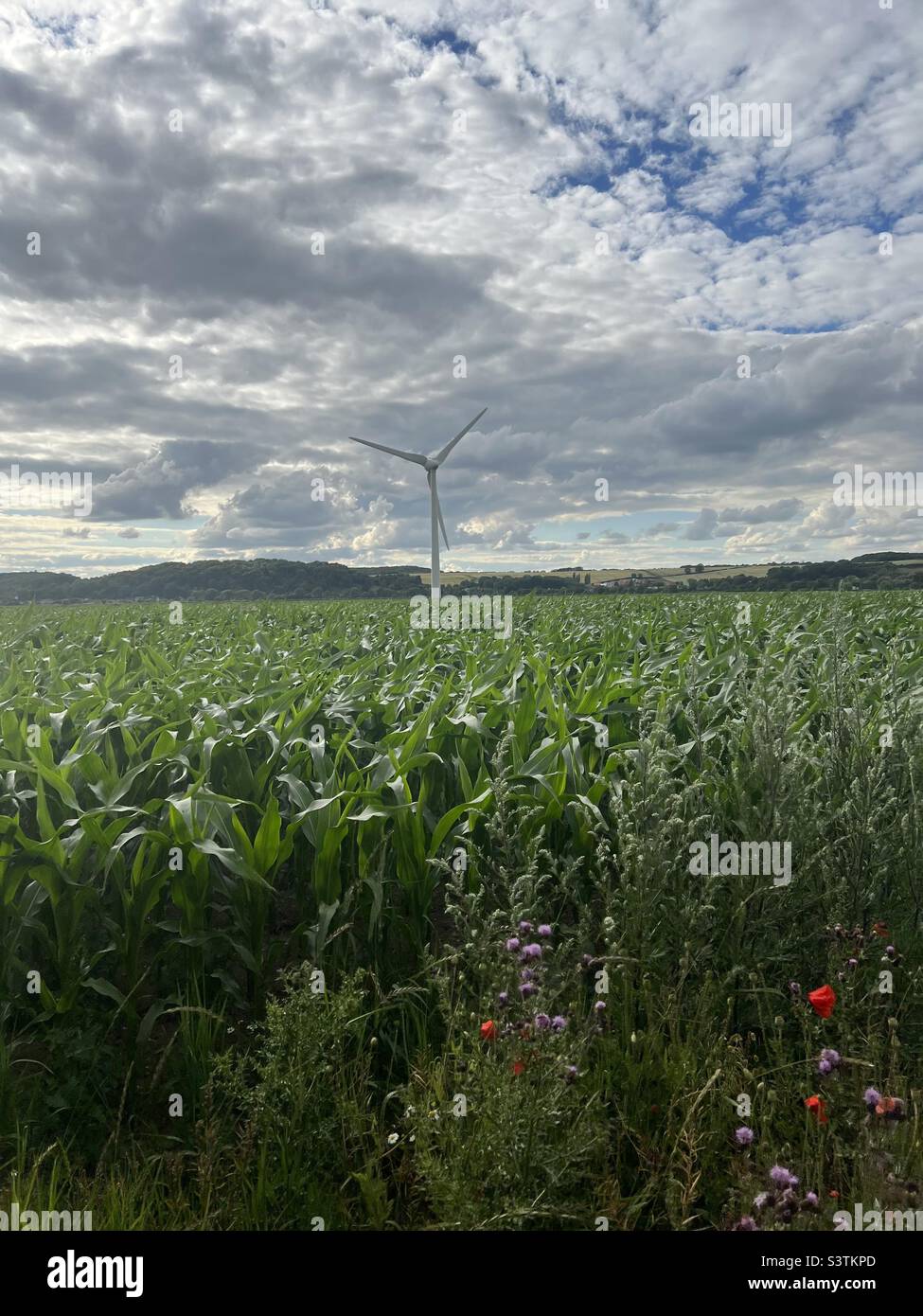 Shades of nature hi-res stock photography and images - Alamy
