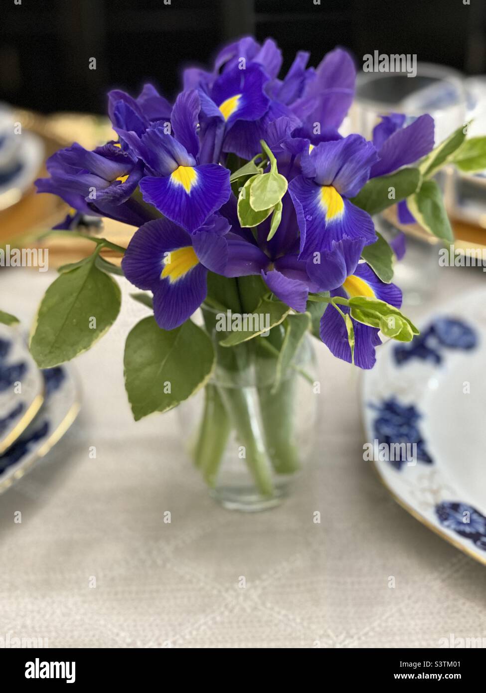 Dutch iris vase hi-res stock photography and images - Alamy