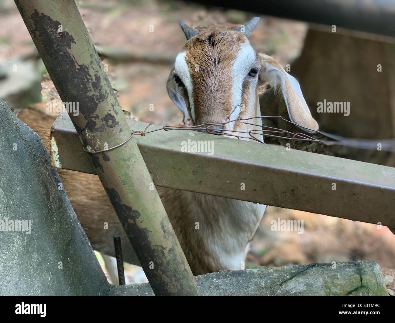 John shy hi-res stock photography and images - Alamy