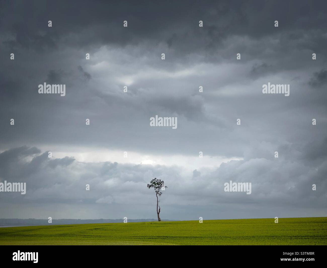 Dark lone tree landscape hi-res stock photography and images - Alamy