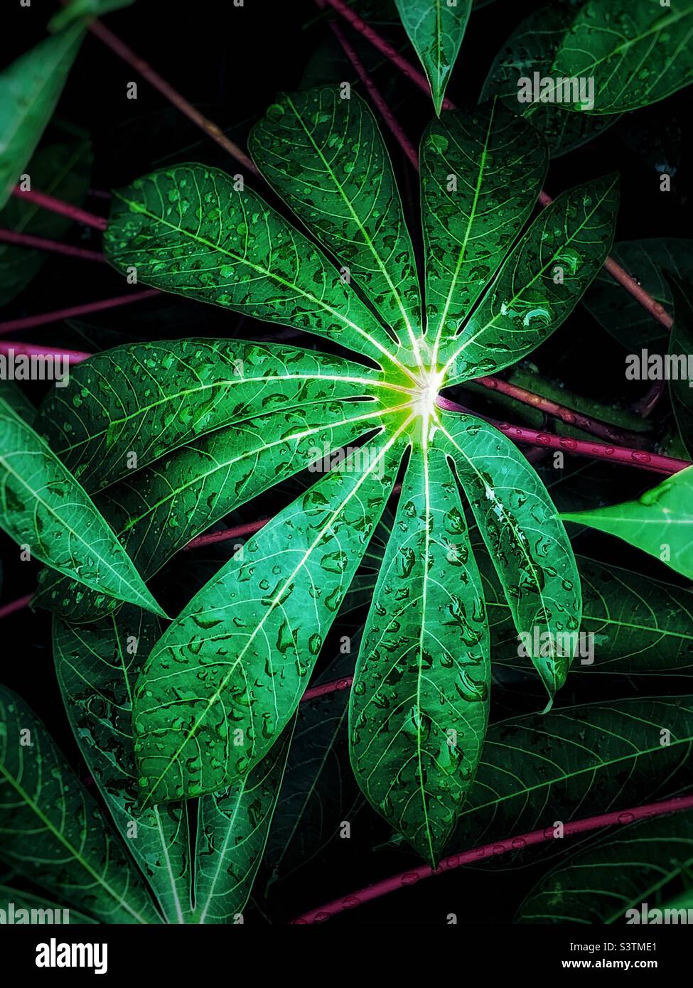 Beautiful natural texture hi-res stock photography and images - Alamy