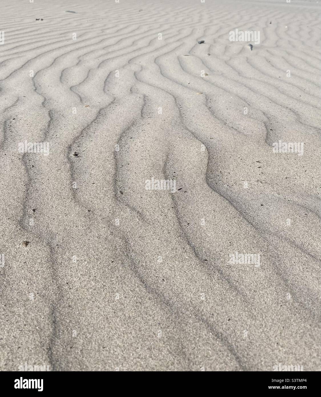 Sandy grains hi-res stock photography and images - Alamy