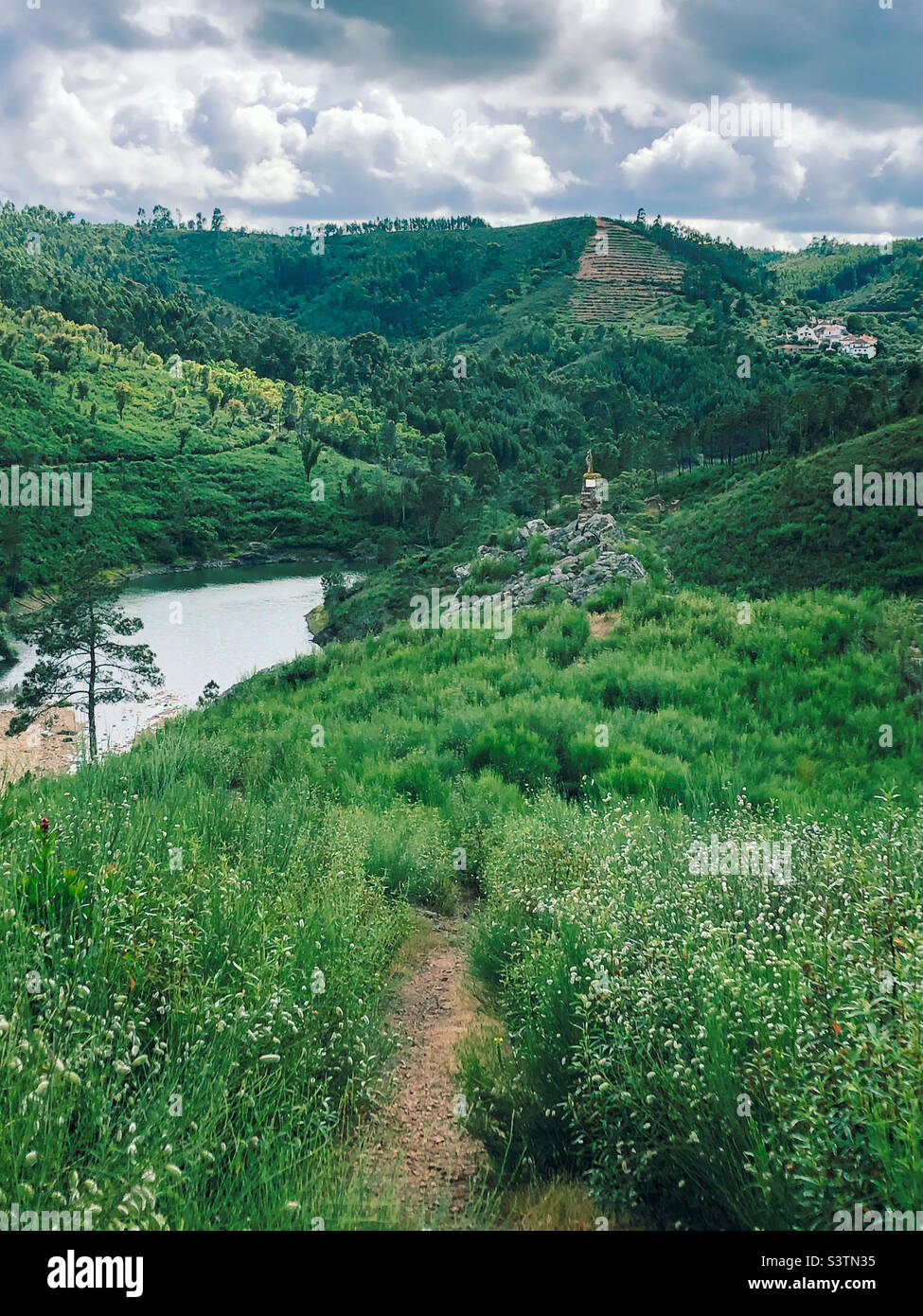 A green and luscious valley along the river at Penedo Furado, Central ...