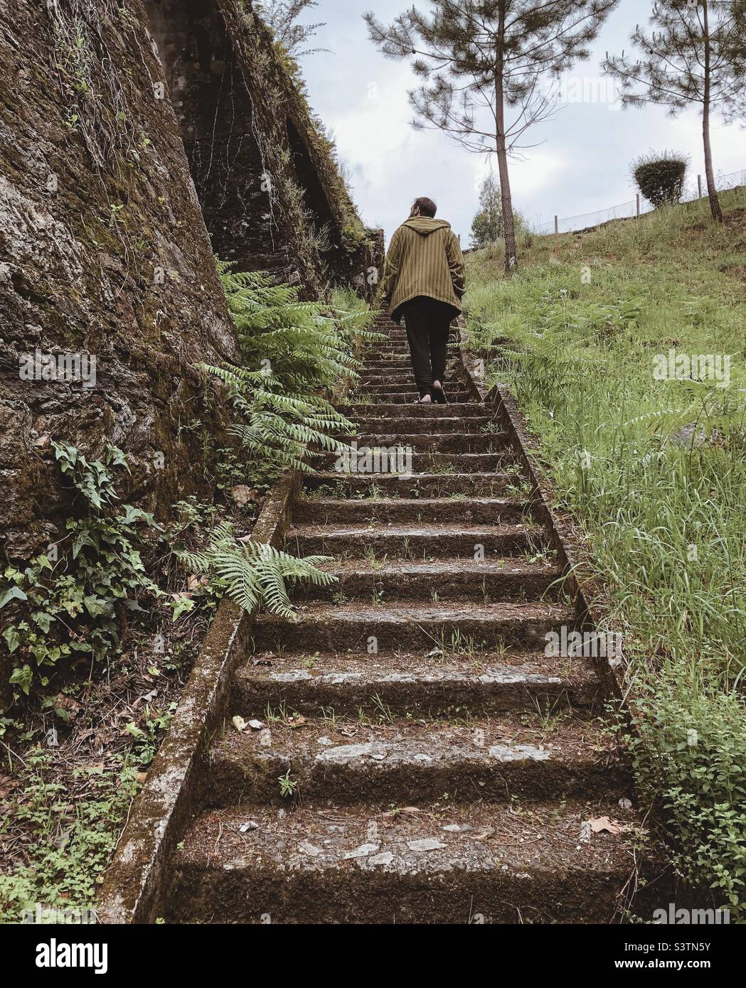 Greenery walks hi-res stock photography and images - Alamy