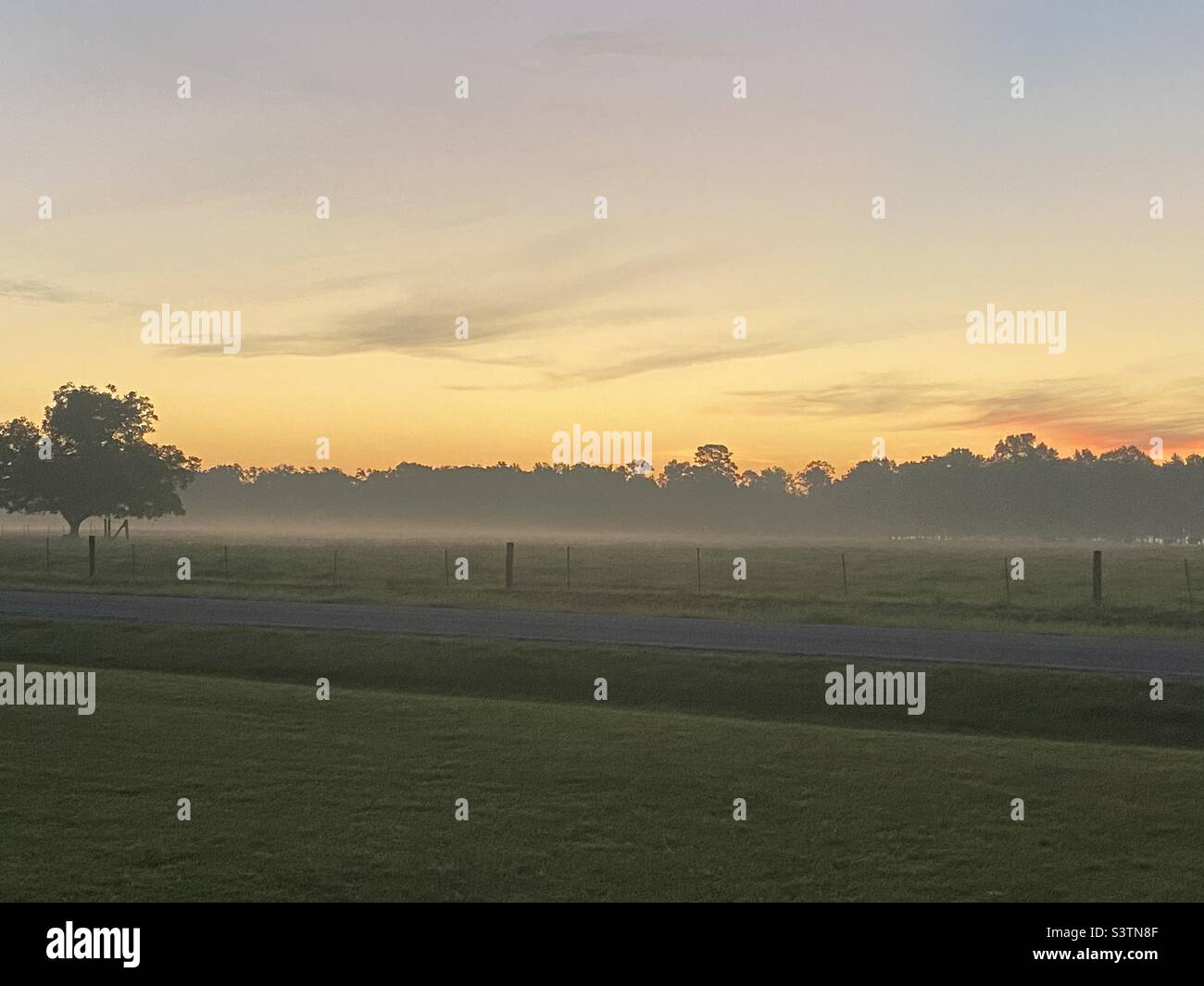 Fog country road hi-res stock photography and images - Alamy