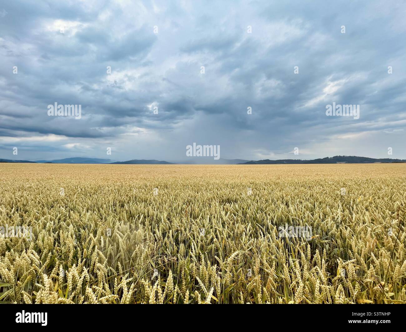 Rain for the crops hi-res stock photography and images - Alamy