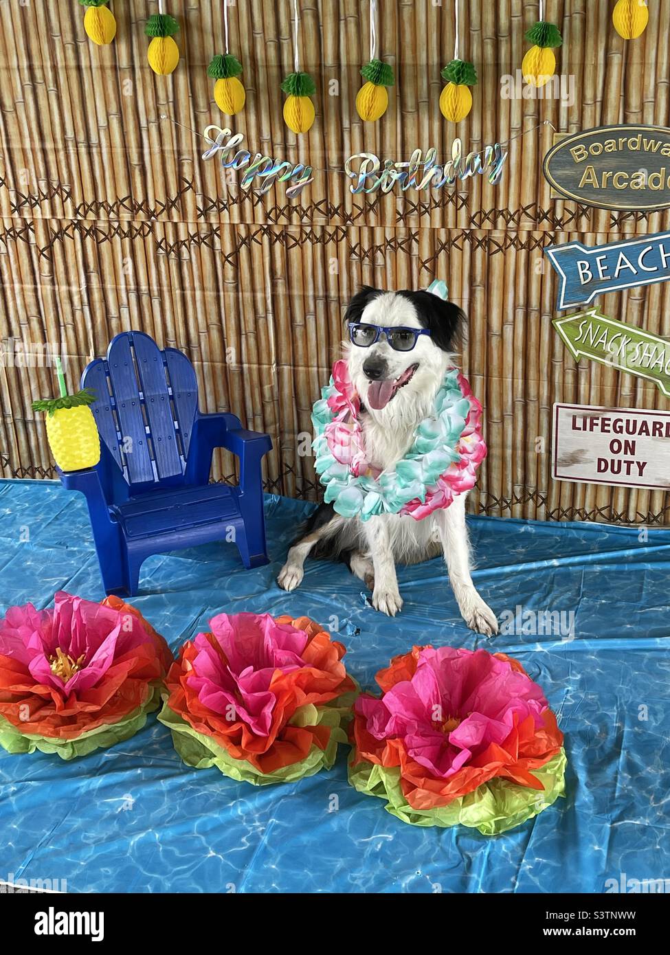 Luau party hi-res stock photography and images - Alamy