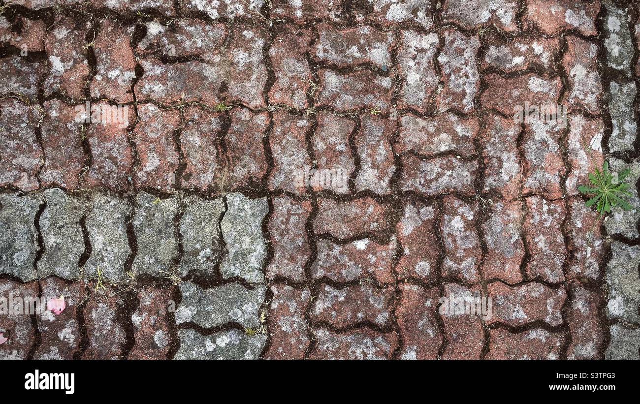 Tiled path hi-res stock photography and images - Alamy