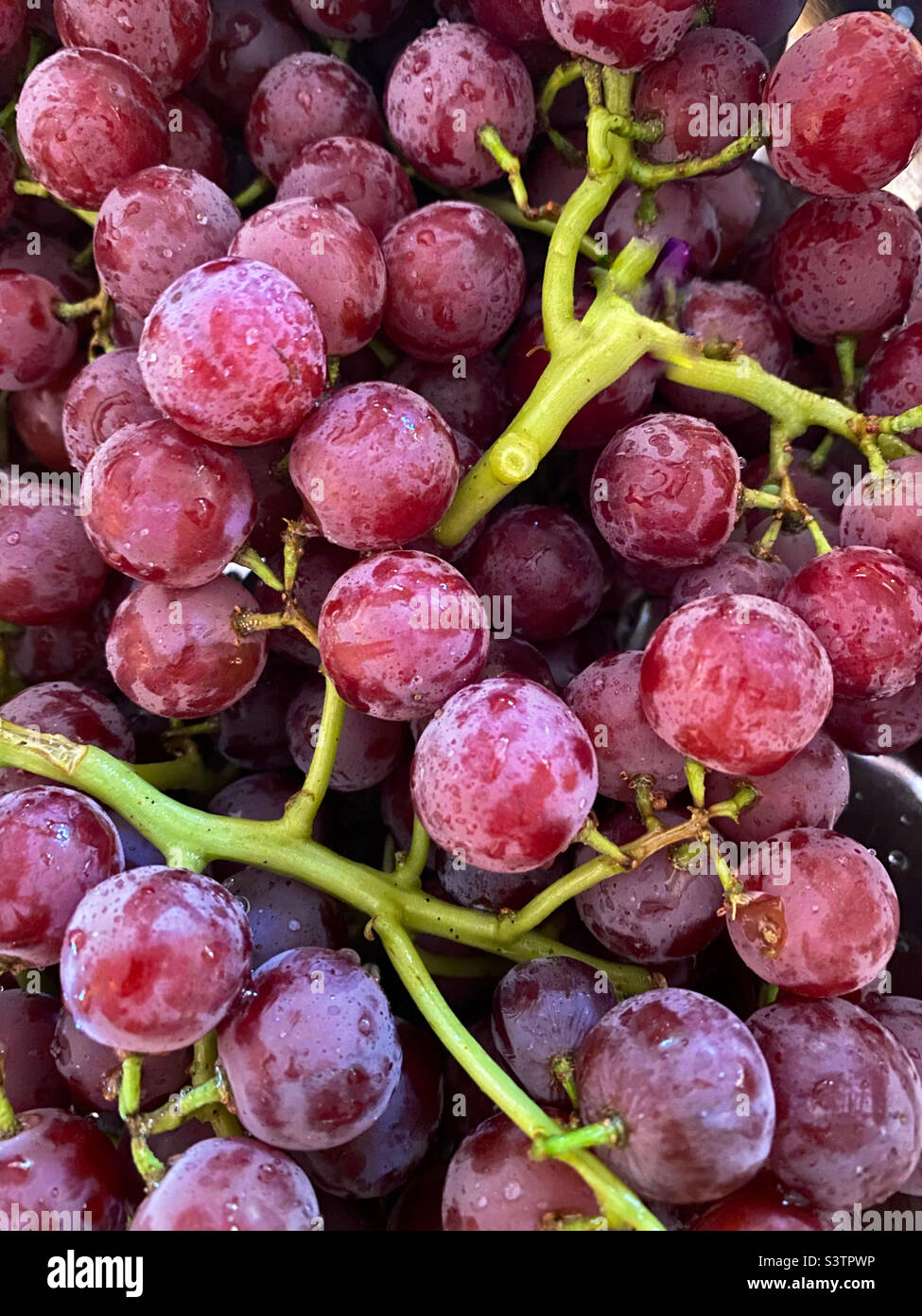 Fresh red grapes with stems Stock Photo - Alamy