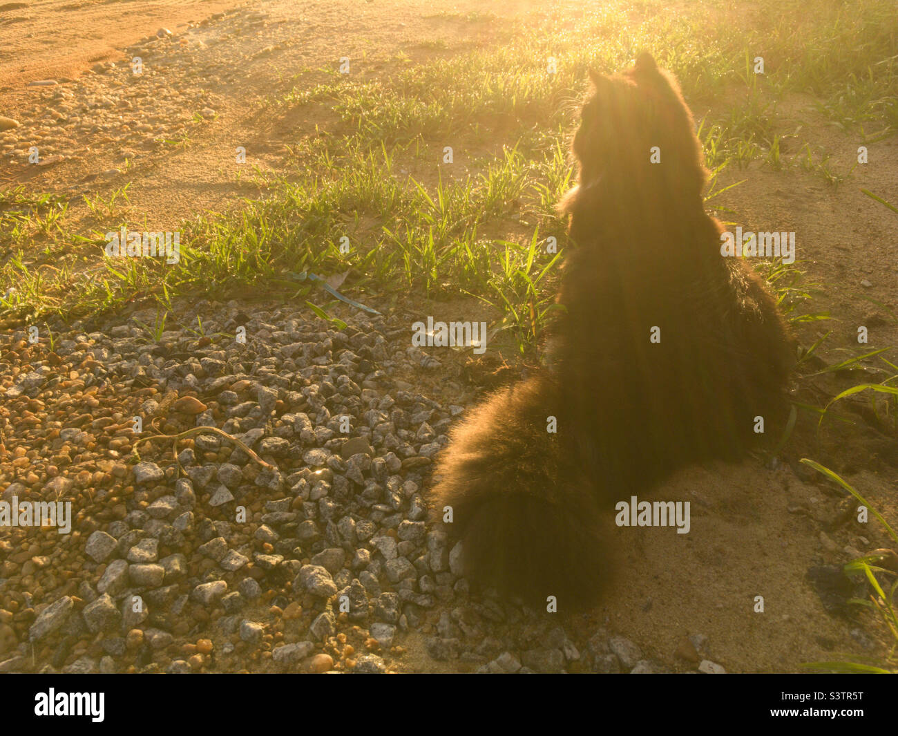 Sunrise contemplate hi-res stock photography and images - Alamy