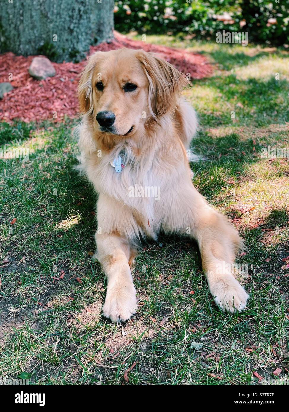 The golden boy hi-res stock photography and images - Alamy