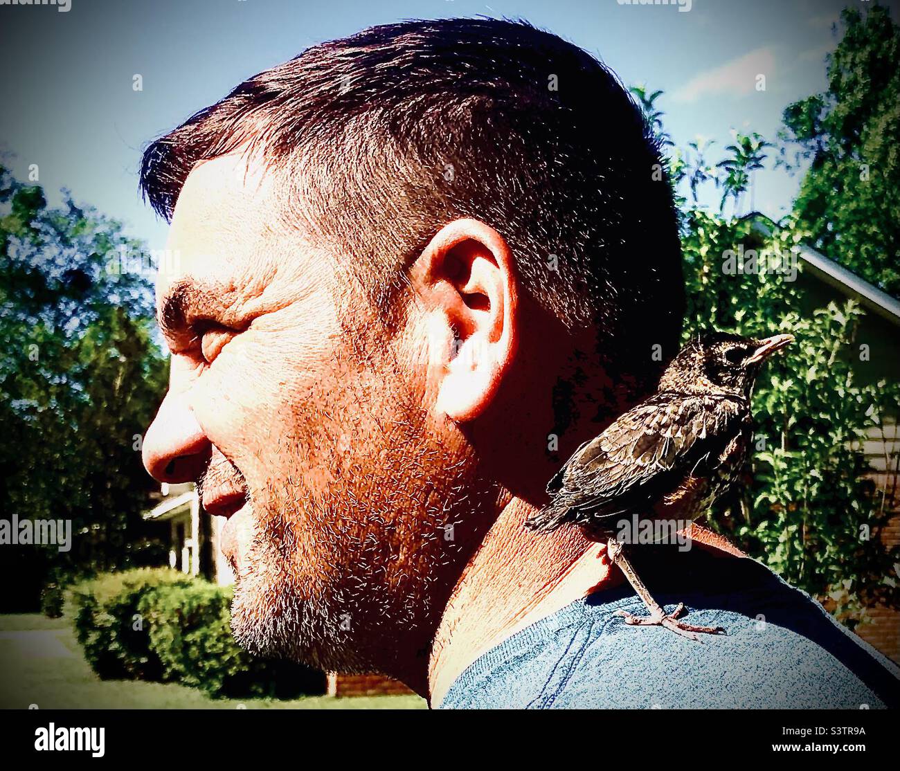 Baby robin hi-res stock photography and images - Alamy