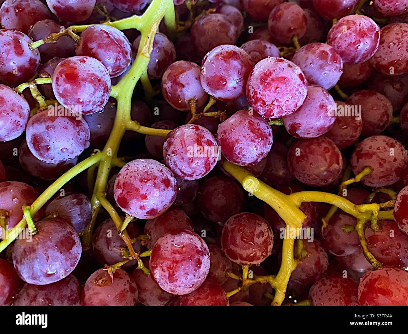 Fresh red grapes with stems Stock Photo - Alamy