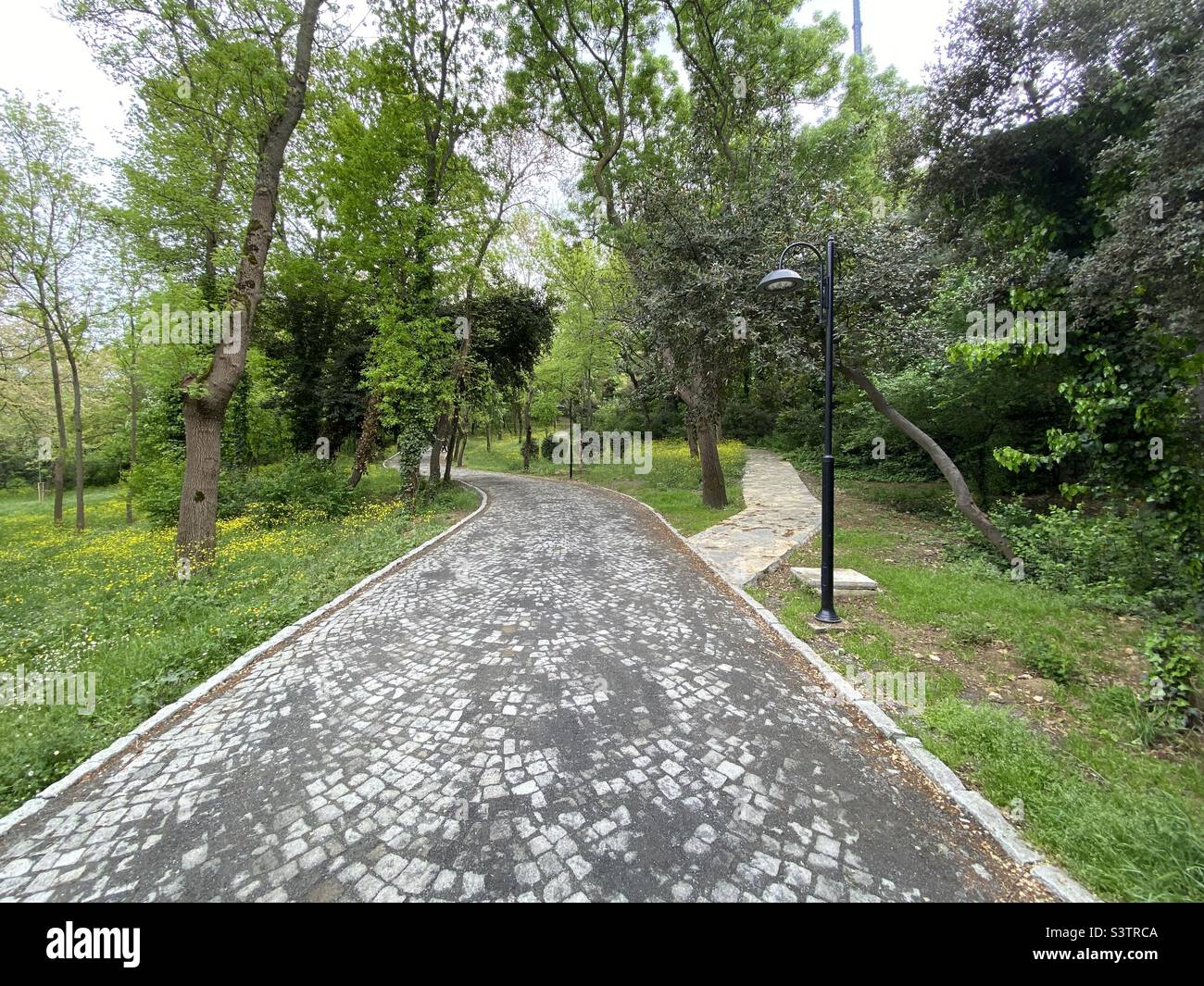 Sideway view hi-res stock photography and images - Alamy