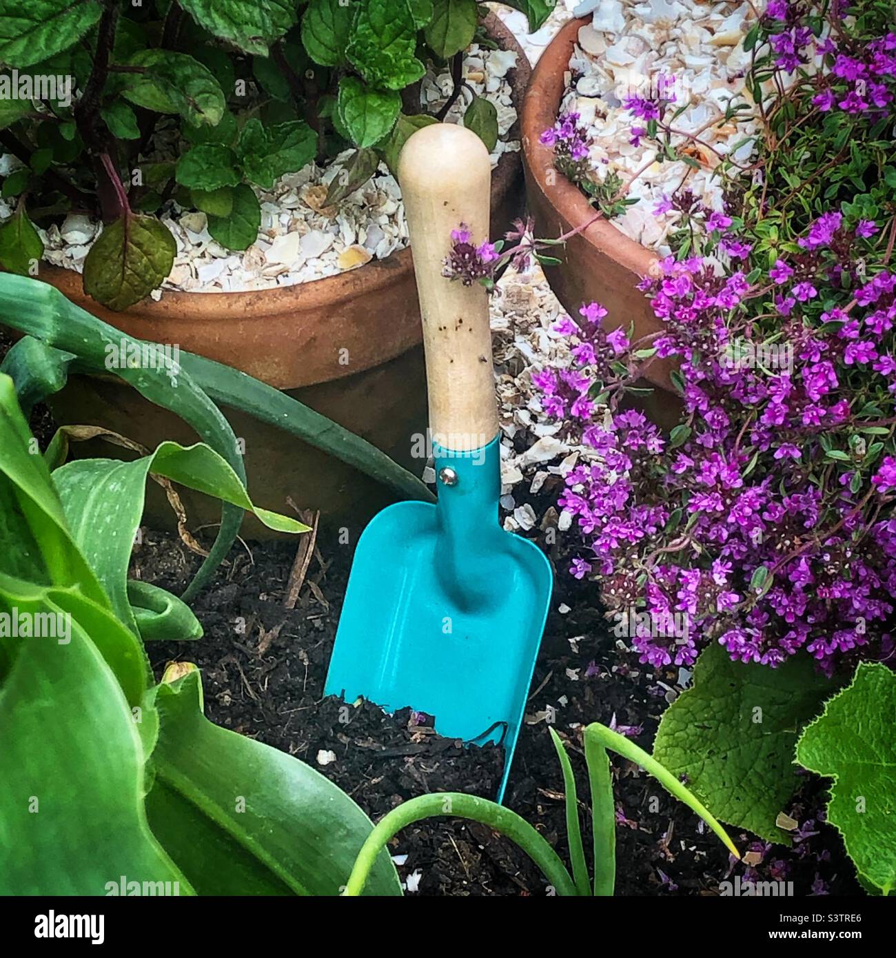 Children digging in garden hi-res stock photography and images - Alamy