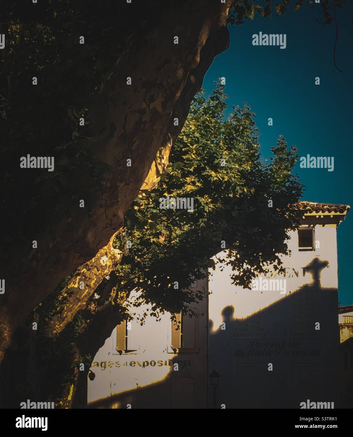 Plane trees provence hi-res stock photography and images - Alamy